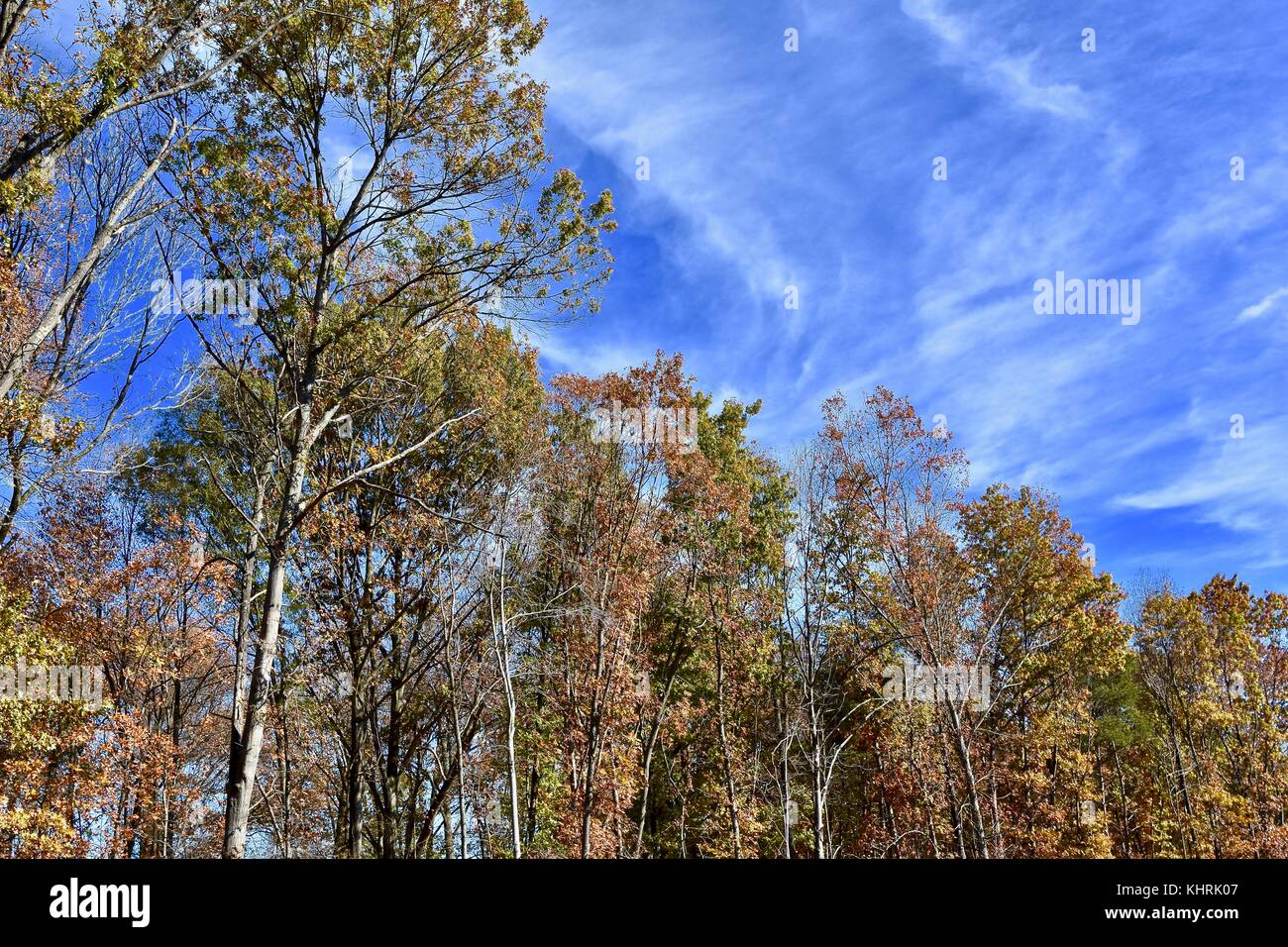 Blue sky with swirly clouds hi-res stock photography and images - Alamy