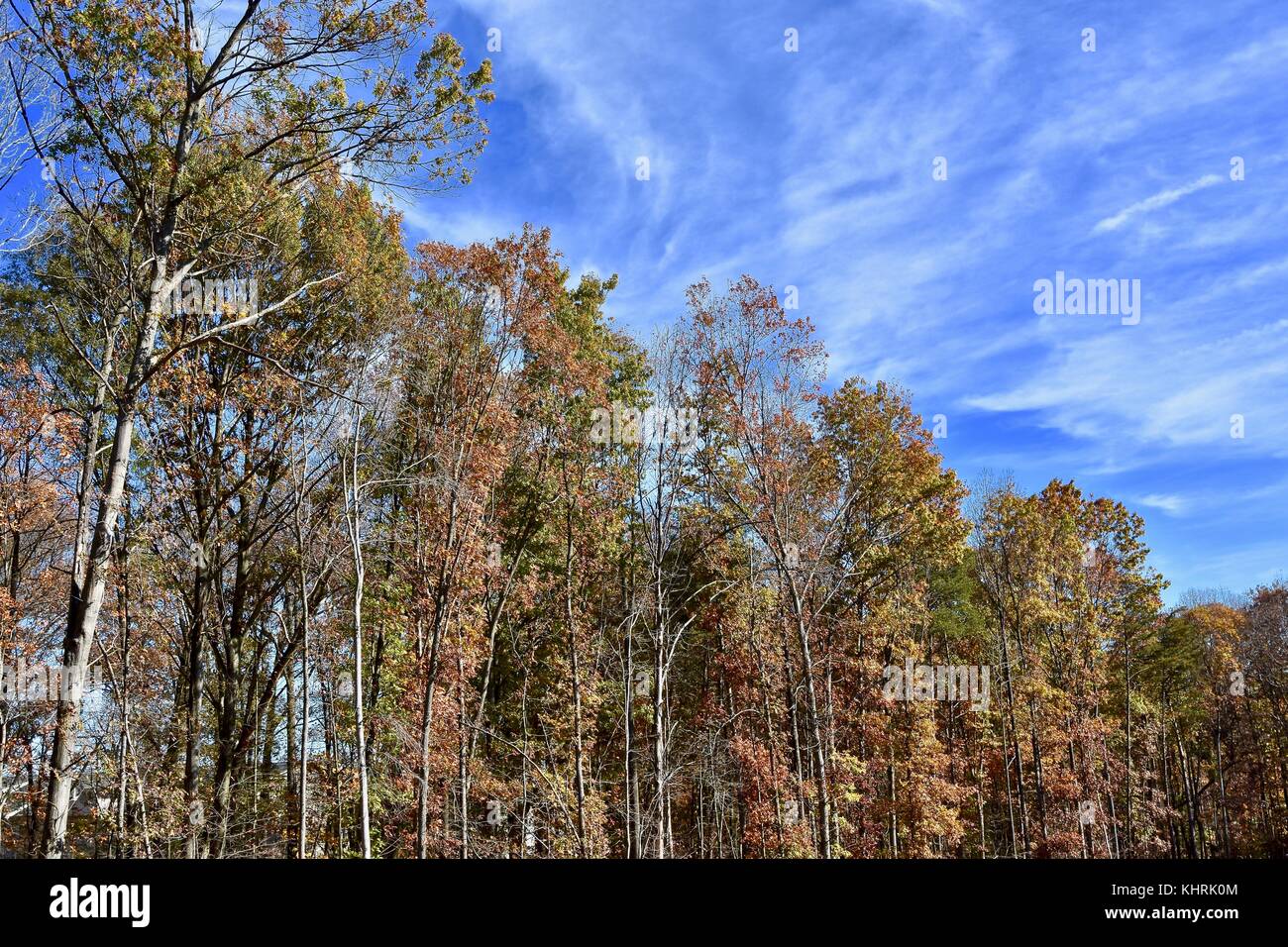 Beautiful fall landscape with blue sky Stock Photo - Alamy
