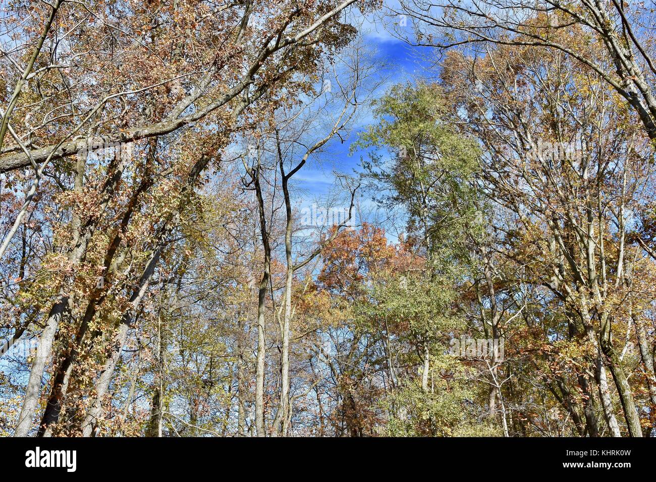 Beautiful fall landscape with blue sky Stock Photo - Alamy