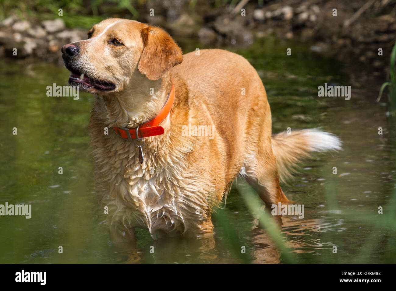 Overweight friend hi-res stock photography and images - Alamy