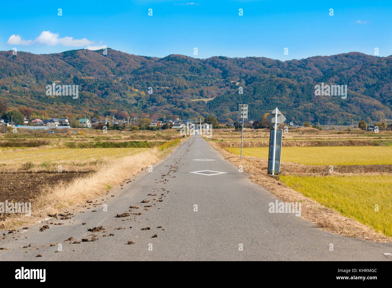 Straight country road, japan Stock Photo - Alamy