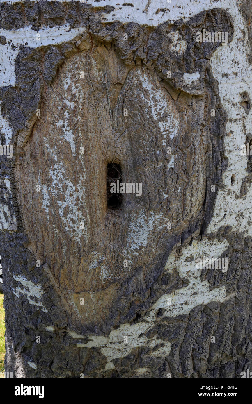 The faraway tree hi-res stock photography and images - Alamy