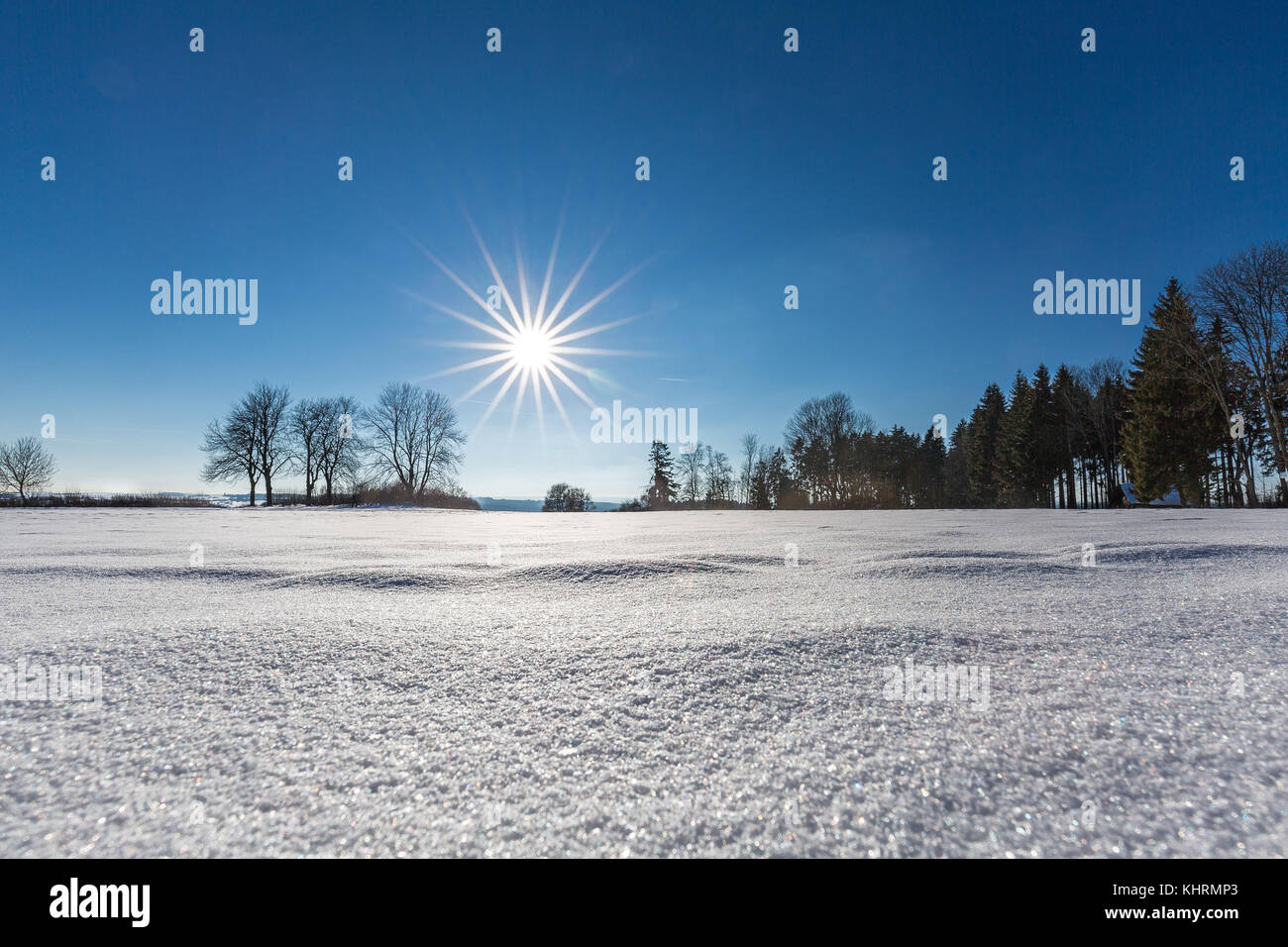 Bright sunshine and blue sky on a cold day in snowy Black Forest Stock ...