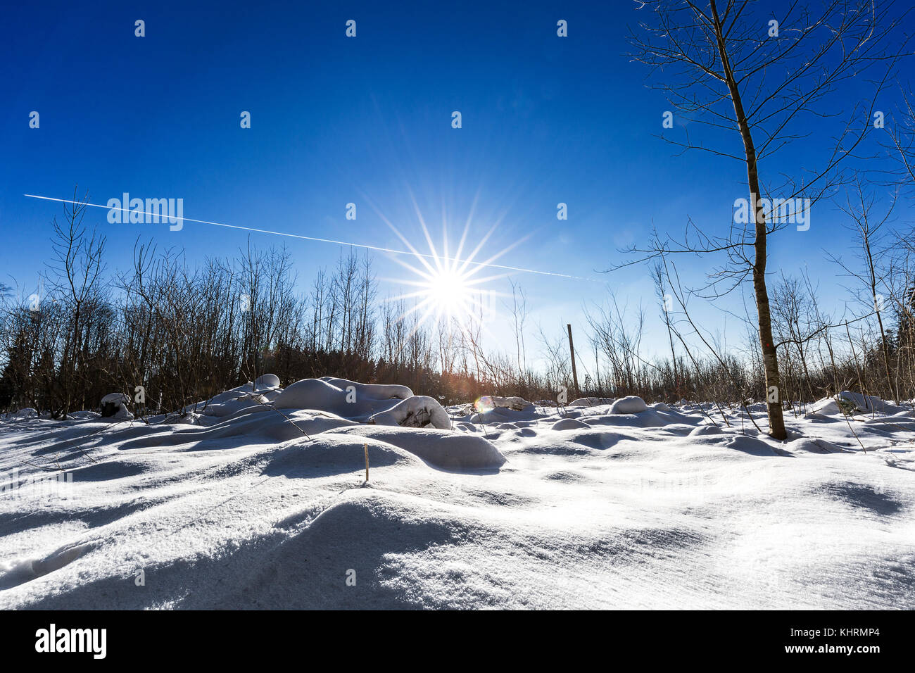 Bright sunshine and blue sky on a cold day in snowy Black Forest Stock ...