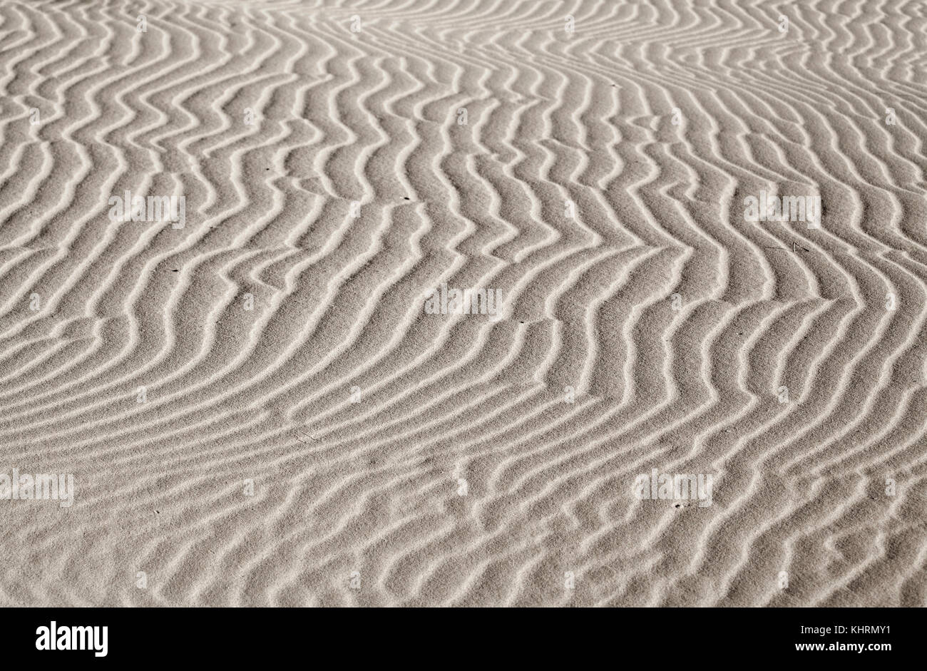 wind and sand pattern on the surface of a dune revelaved by a low ...
