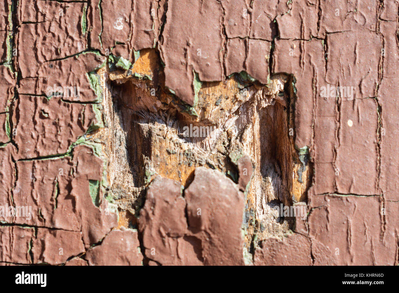Texture Of Brown And Cyan Cracked Paint On Wooden Wall With Letter "M ...