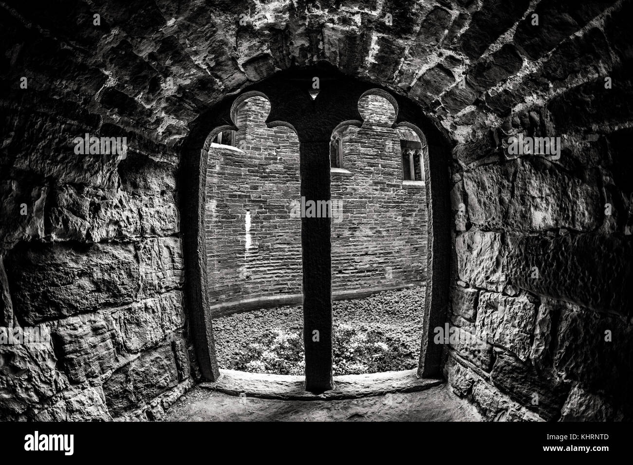 Fisheye window view hi-res stock photography and images - Alamy