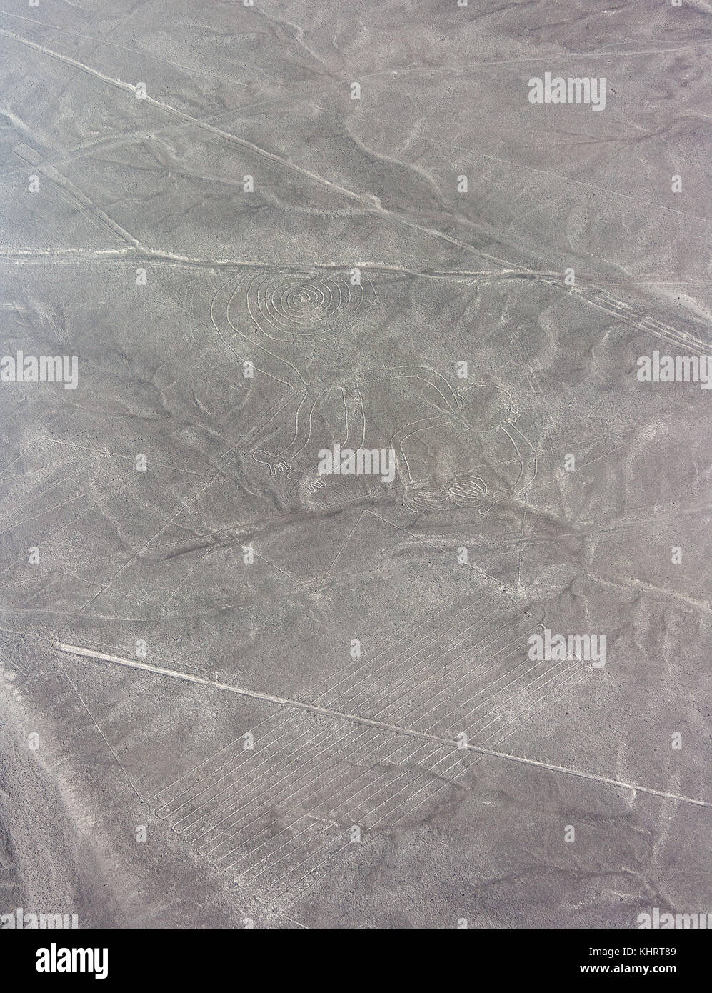 Aerial view of the spectacular Nazca Lines, Peru Stock Photo - Alamy