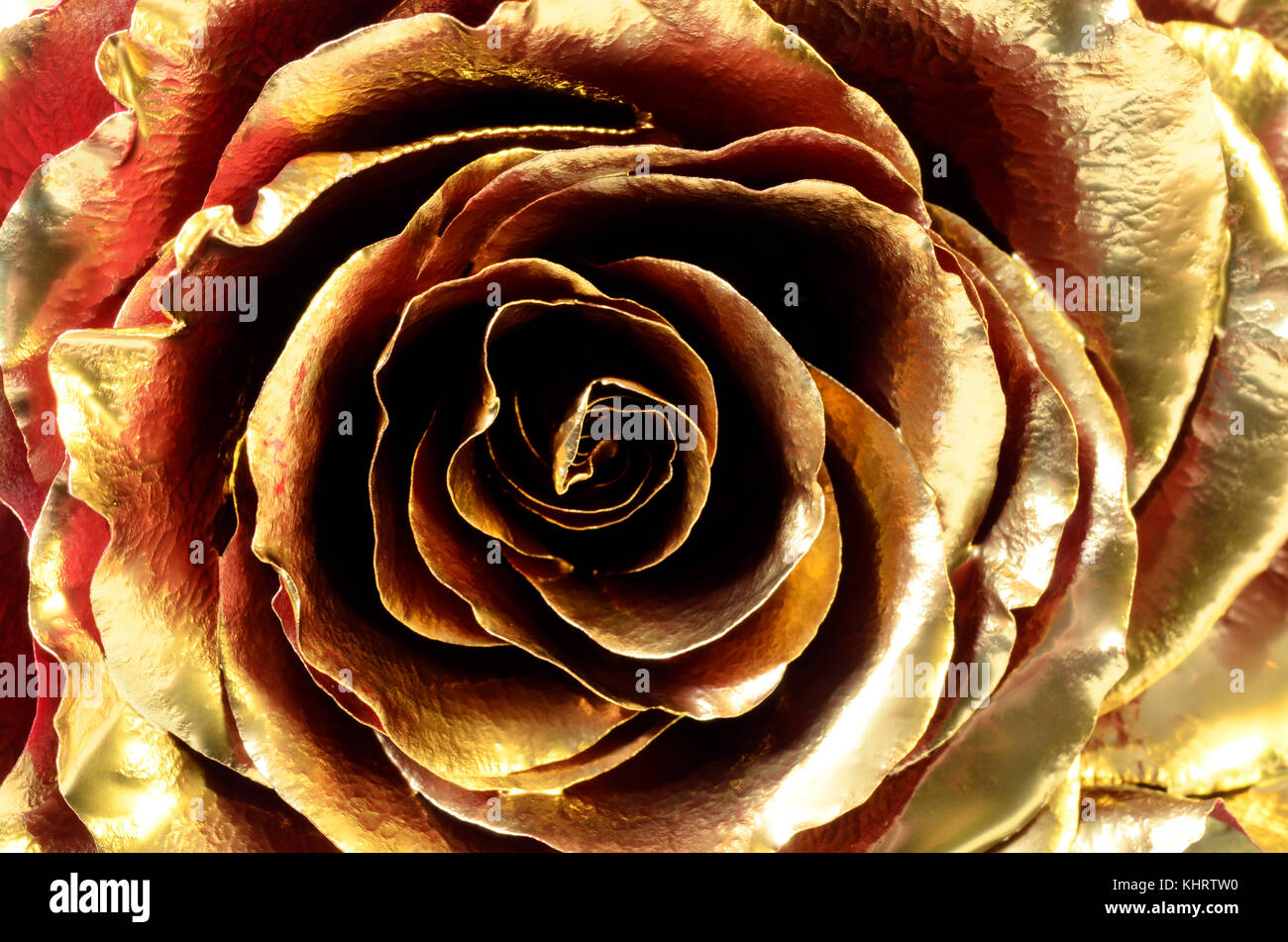 Red rose covered with golden paint : details Stock Photo - Alamy