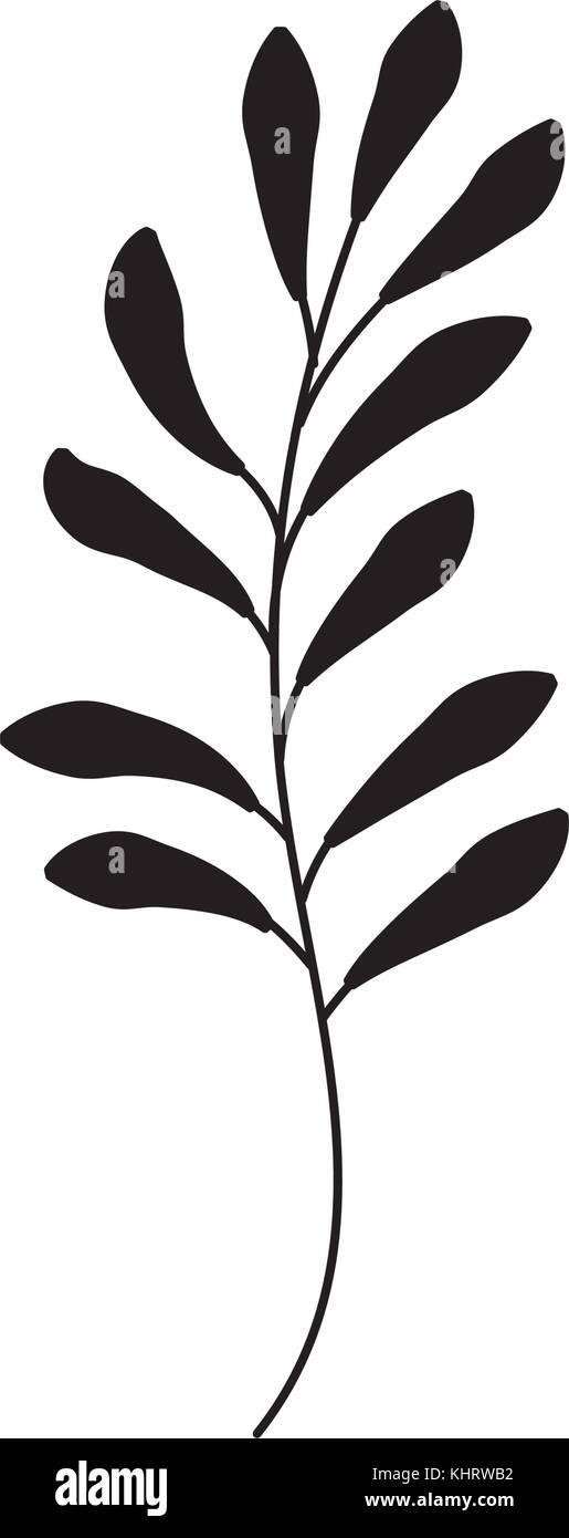 branch plant with leaves natural foliage garden vector illustration ...