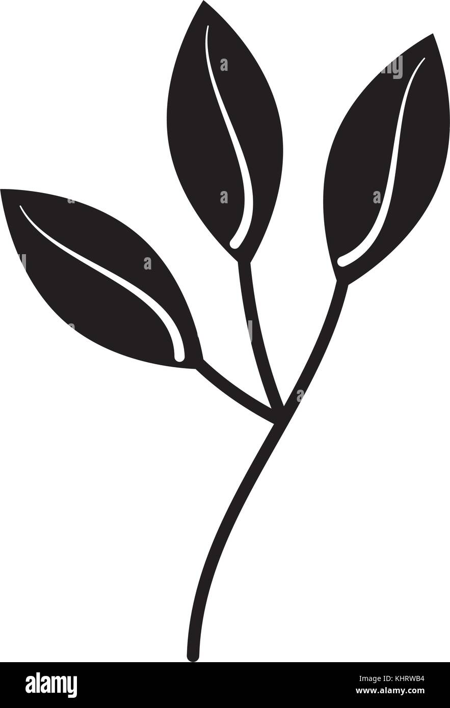 branch plant with leaves natural foliage garden vector illustration ...