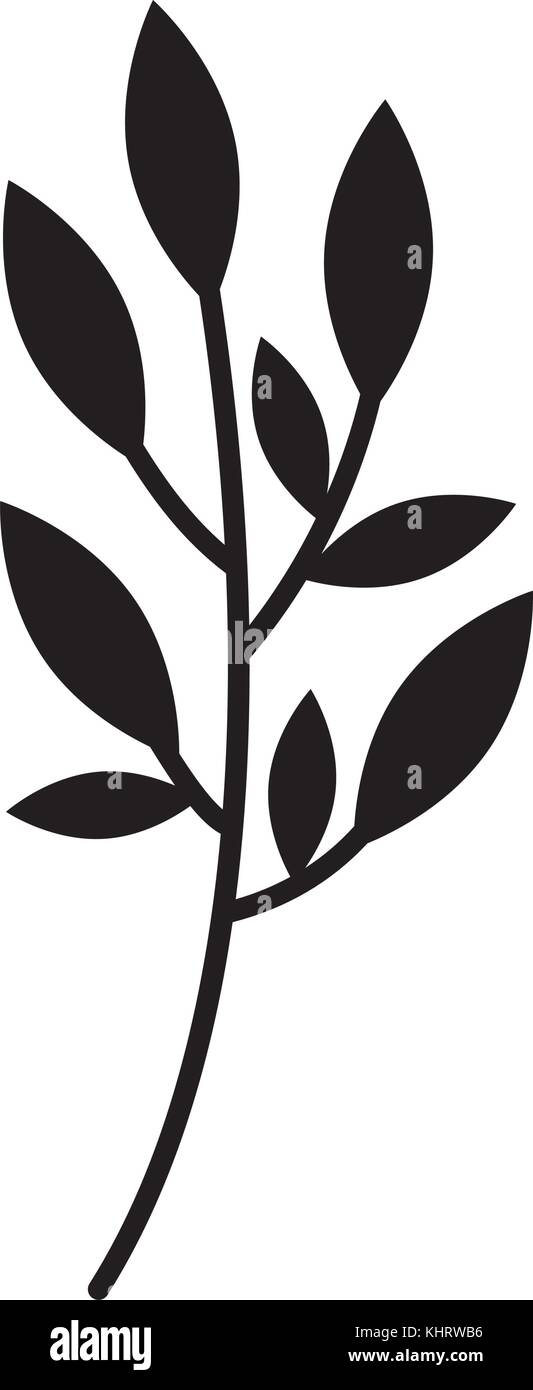 branch plant with leaves natural foliage garden vector illustration ...