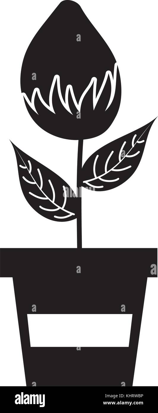 potted flower natural bulb growth plant decoration vector illustration ...