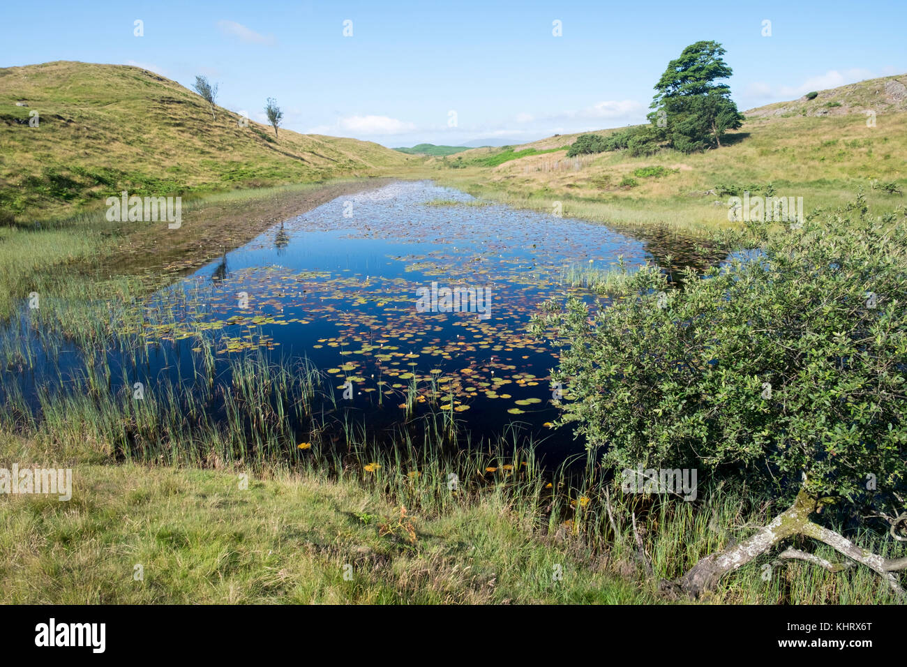 Torver Common ponds Stock Photo - Alamy