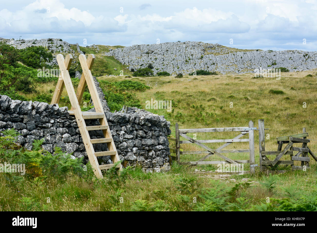 Farleton Knott limestone pavement and ladder stile Stock Photo - Alamy