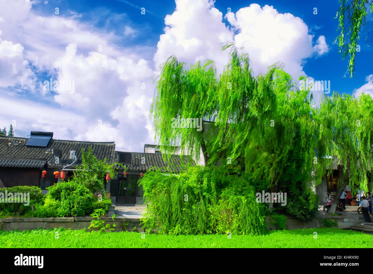 Chinese style buildings surrounding the water canals of Xitang town in ...