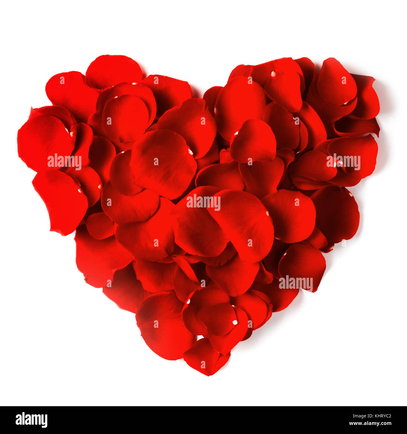 Heart shape made of rose petals, isolated on white Stock Photo - Alamy