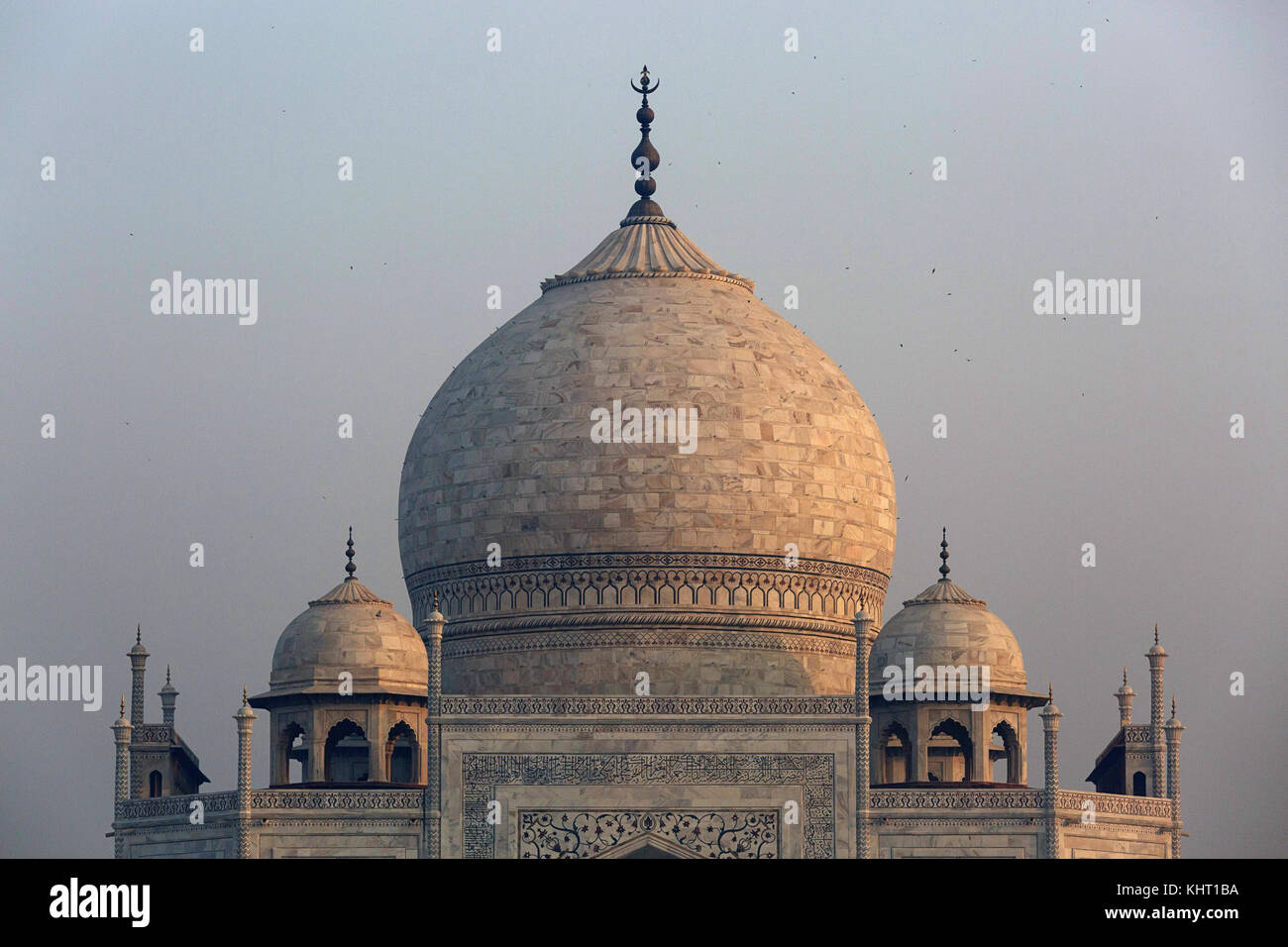 Taj Mahal Close Up High Resolution Stock Photography and Images - Alamy