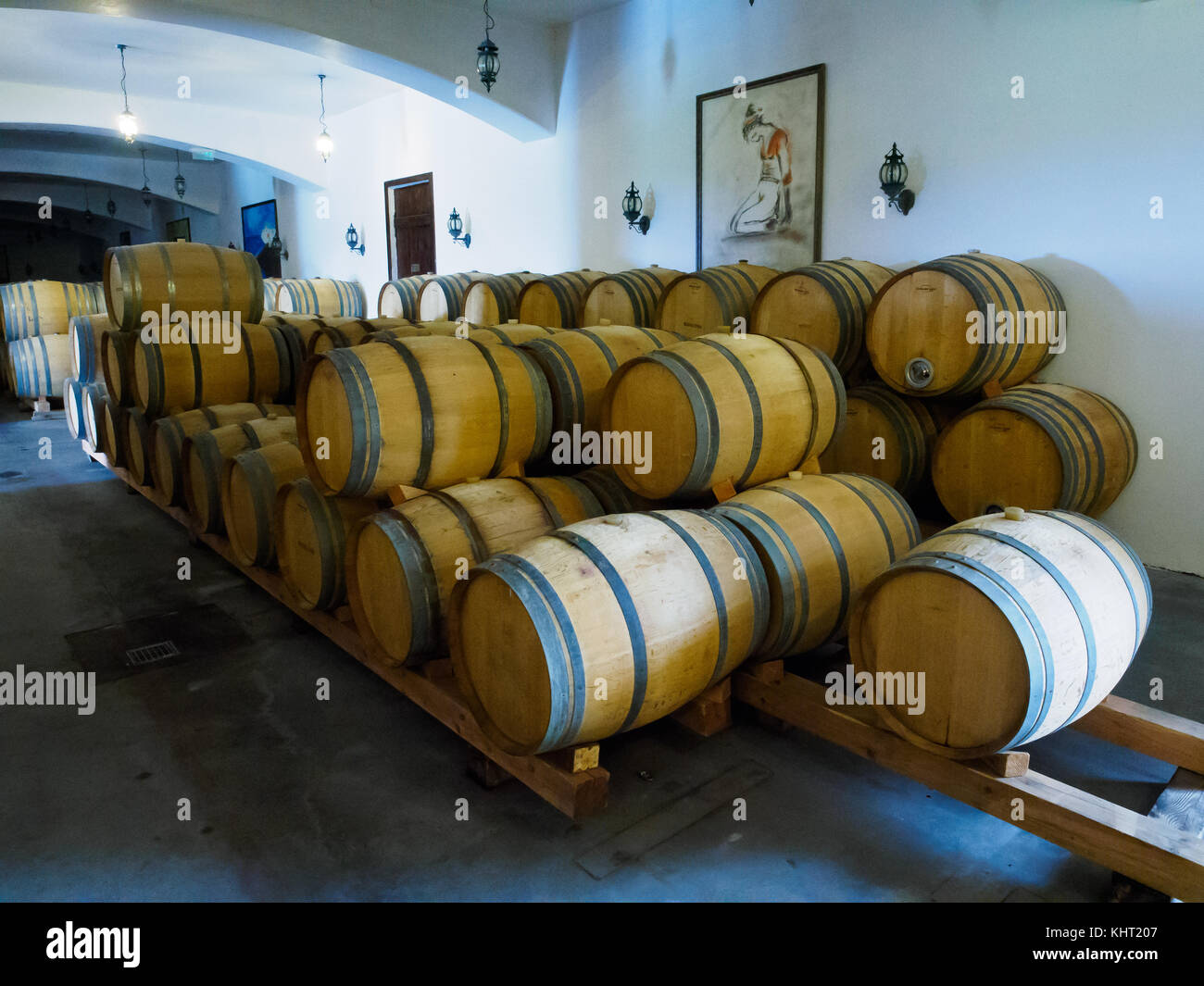 Wine barrels lined up in the winery storage room Stock Photo - Alamy