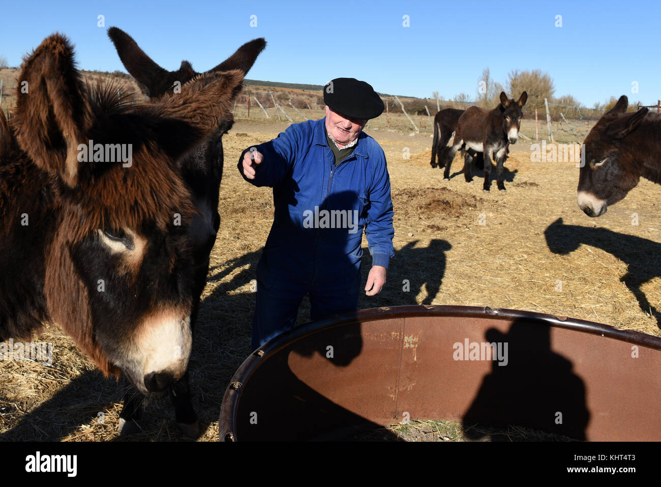 Fuentelfresno, Spain. 18th Nov, 2017. Tasio pictured with his donkeys ...