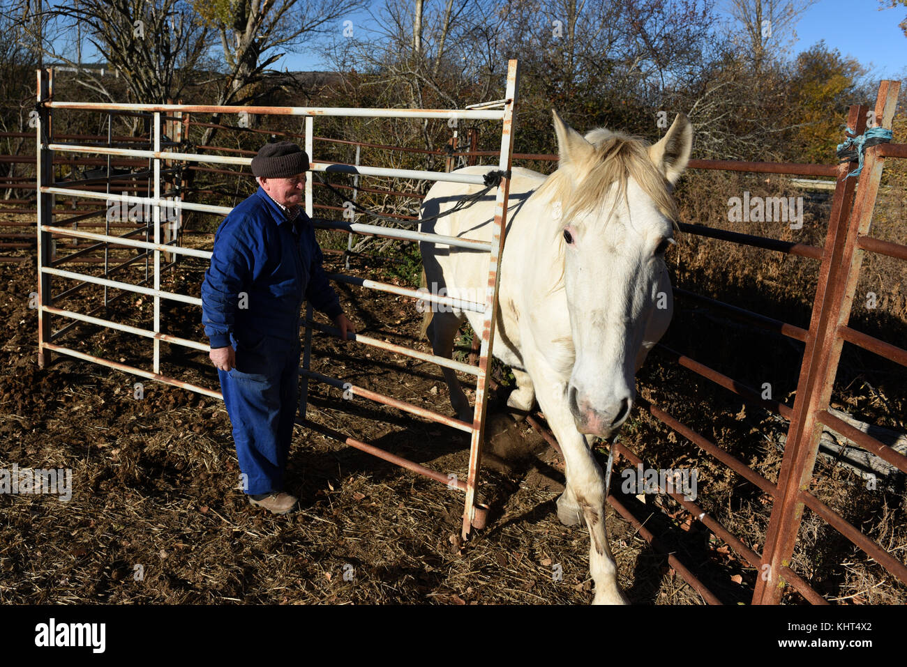 Fuentelfresno, Spain. 18th Nov, 2017. Tasio pictured with his horse ...