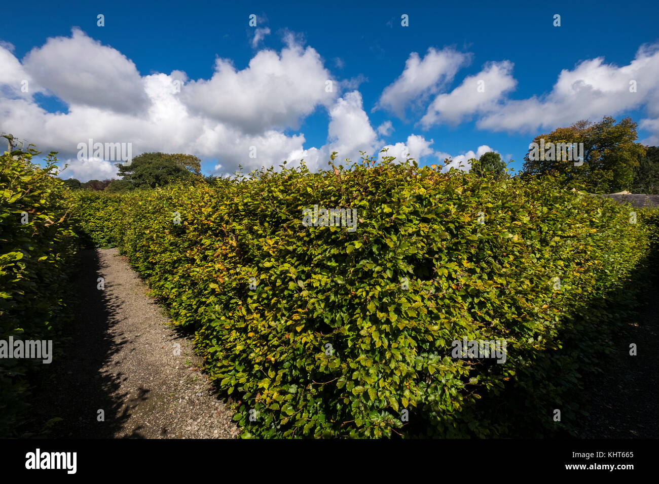 Maze at Russborough House, Blessington, County Wicklow, Ireland Stock ...
