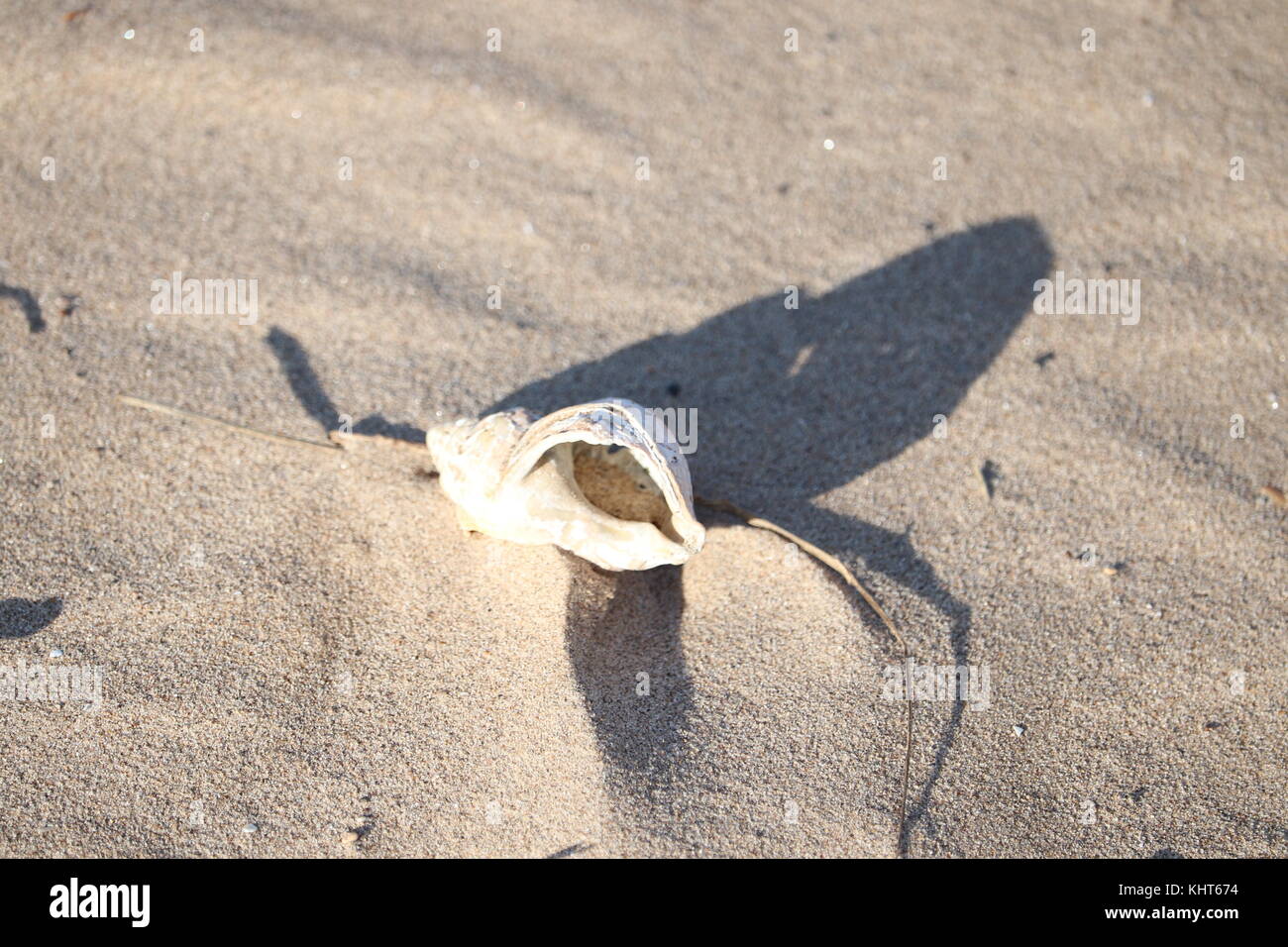 Skegness beach sunny hi-res stock photography and images - Alamy