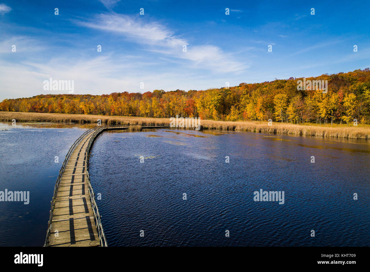 Forest bird's eye view hi-res stock photography and images - Alamy
