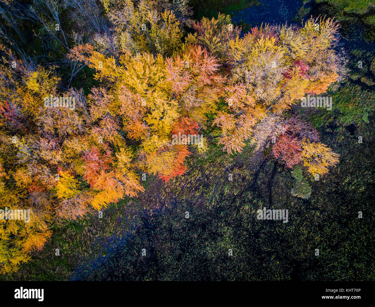 Aerial over autumn forest hi-res stock photography and images - Alamy