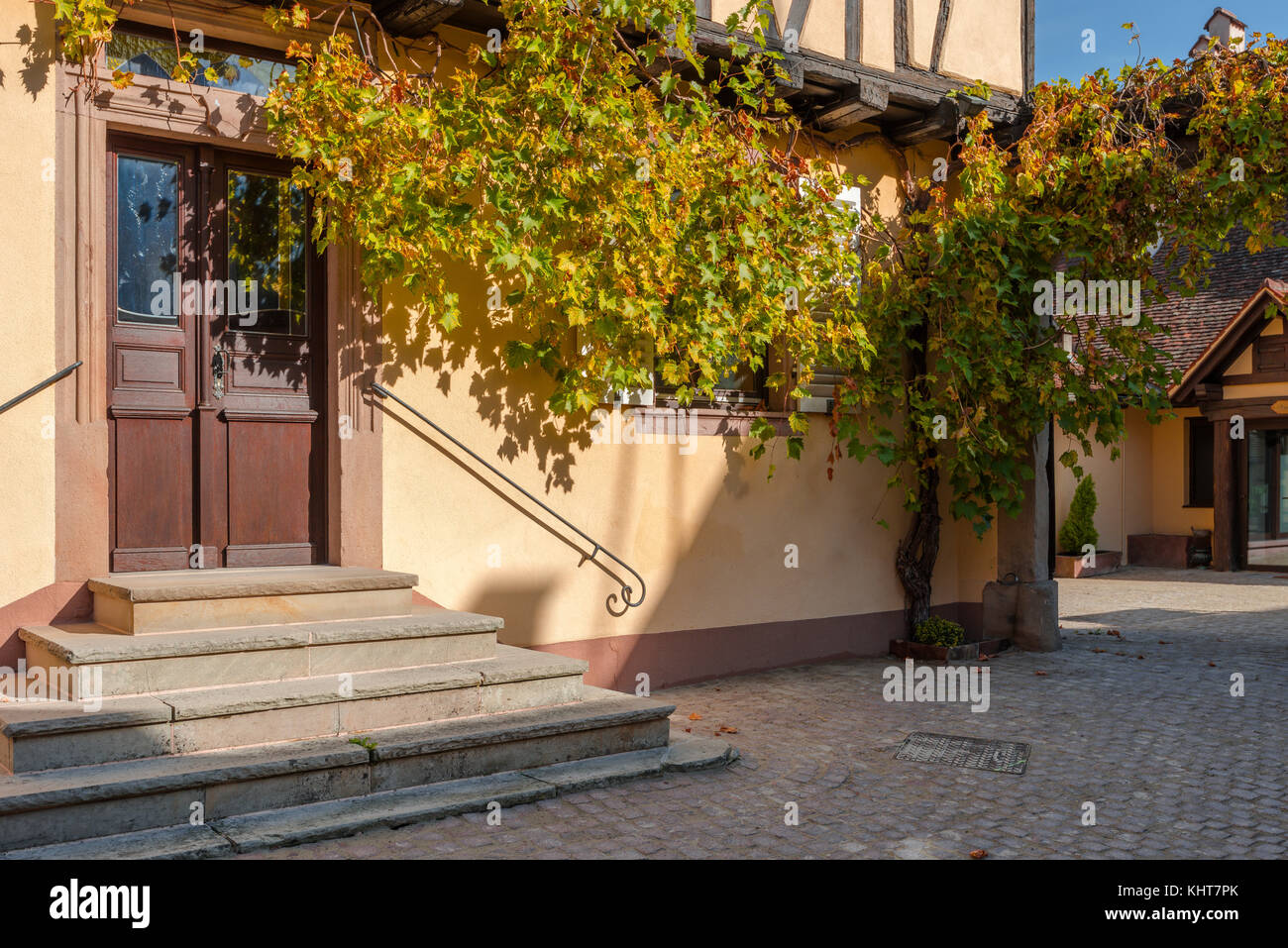 Vine on house hi-res stock photography and images - Alamy