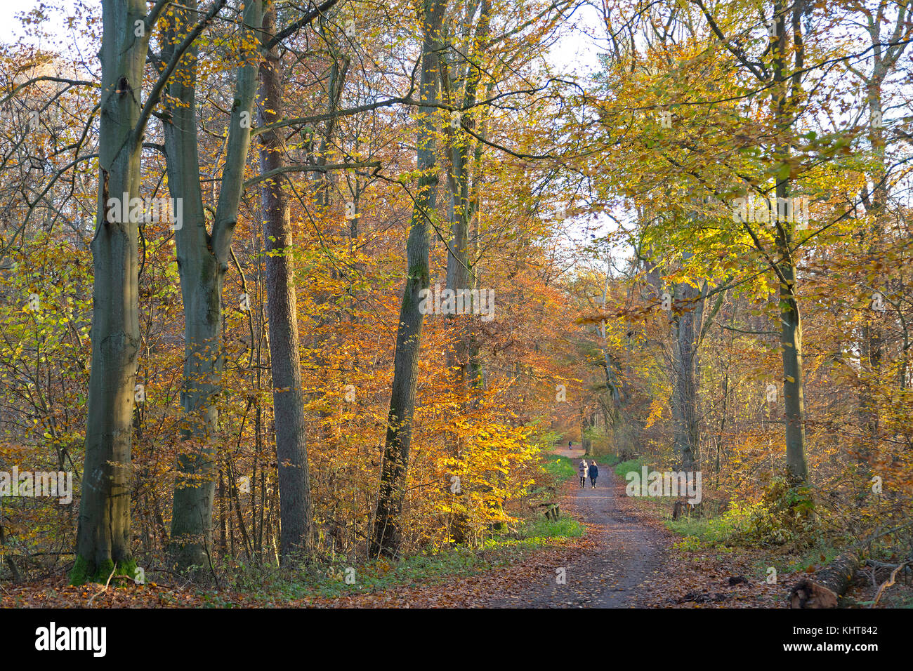 Lower Saxony Stock Photos & Lower Saxony Stock Images - Alamy