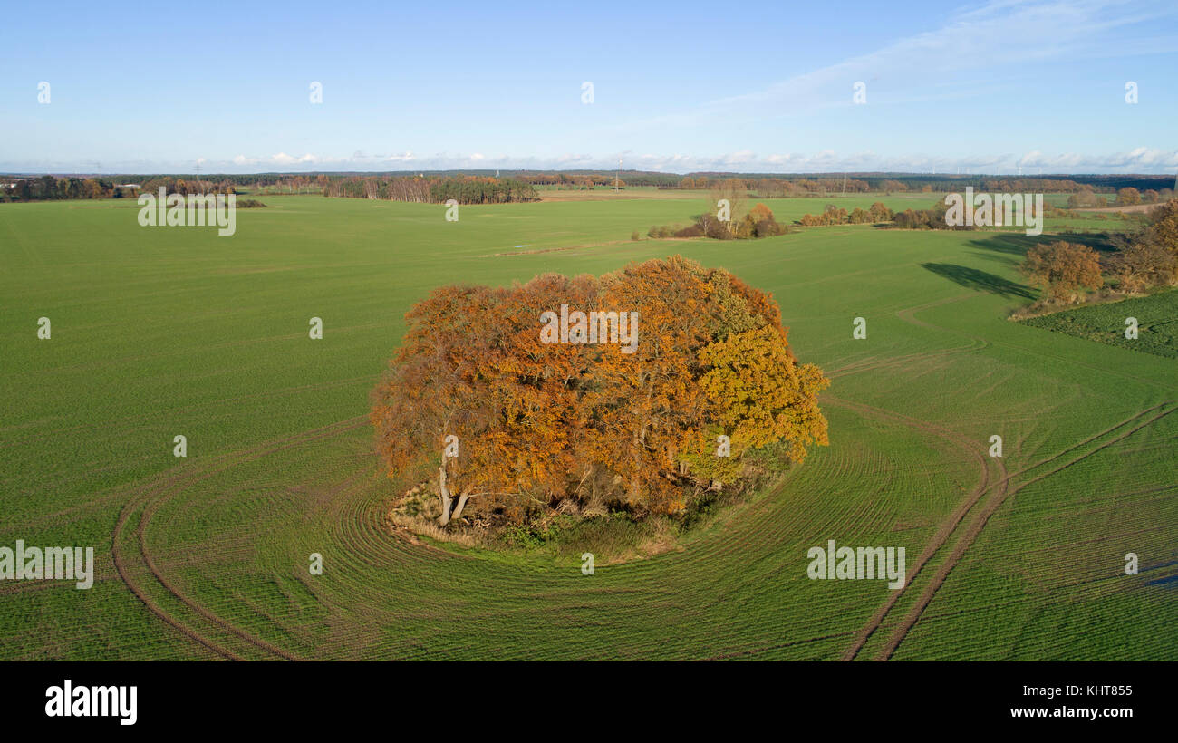 Wendisch evern hi-res stock photography and images - Alamy