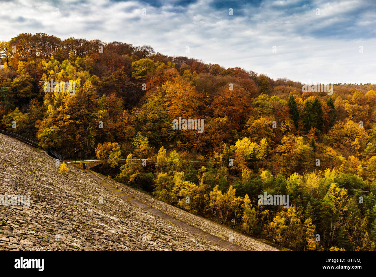 Colorful foliage on trees on a hillside in Belgian Ardennes close to ...