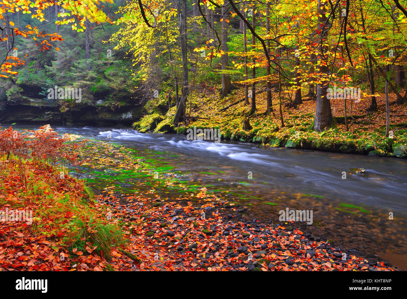 Autumn mountain river with blurred waves, mossy stones and boulders on ...