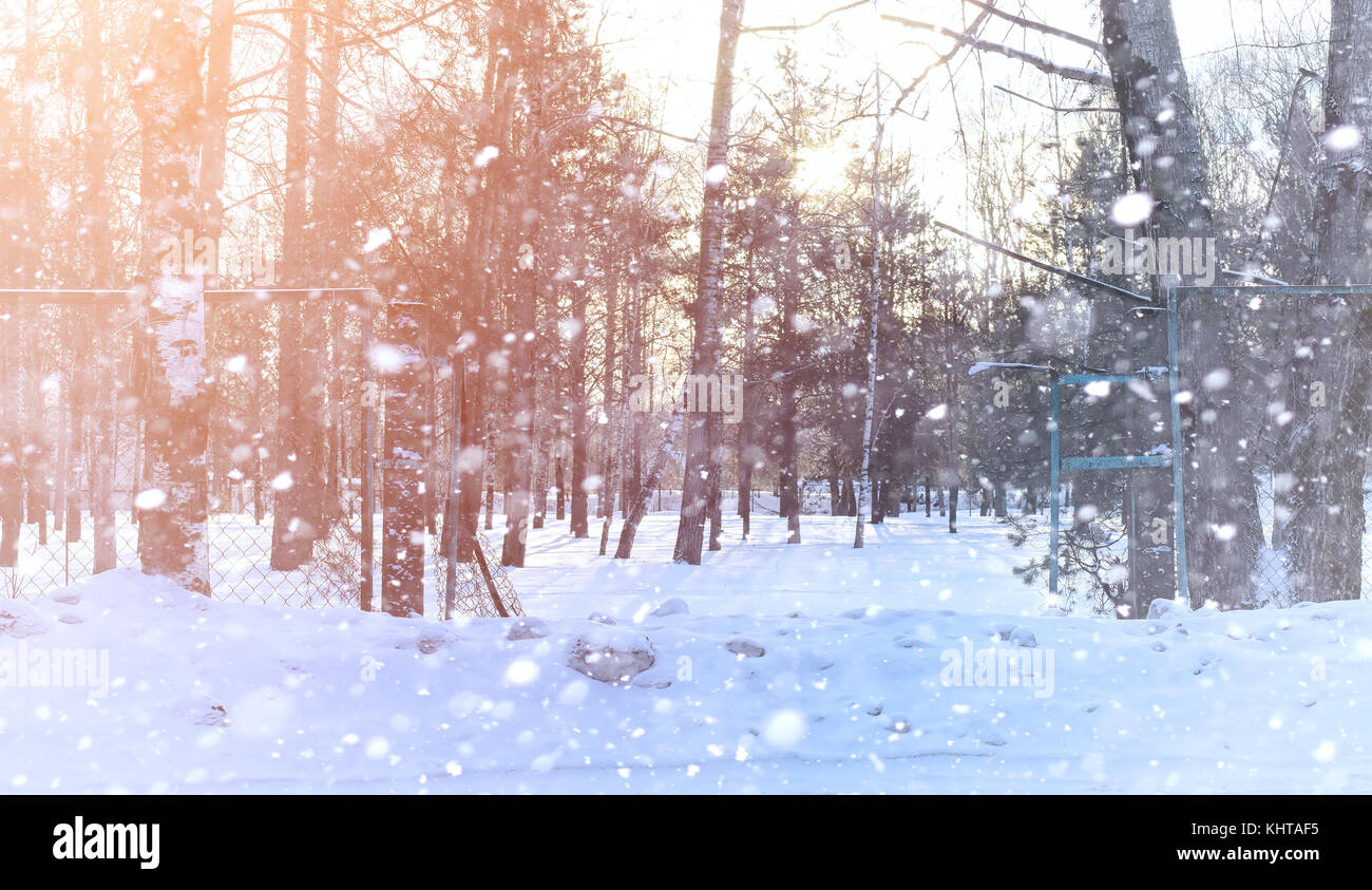 Winter landscape snow covered expanses. A park in the winter in Stock ...