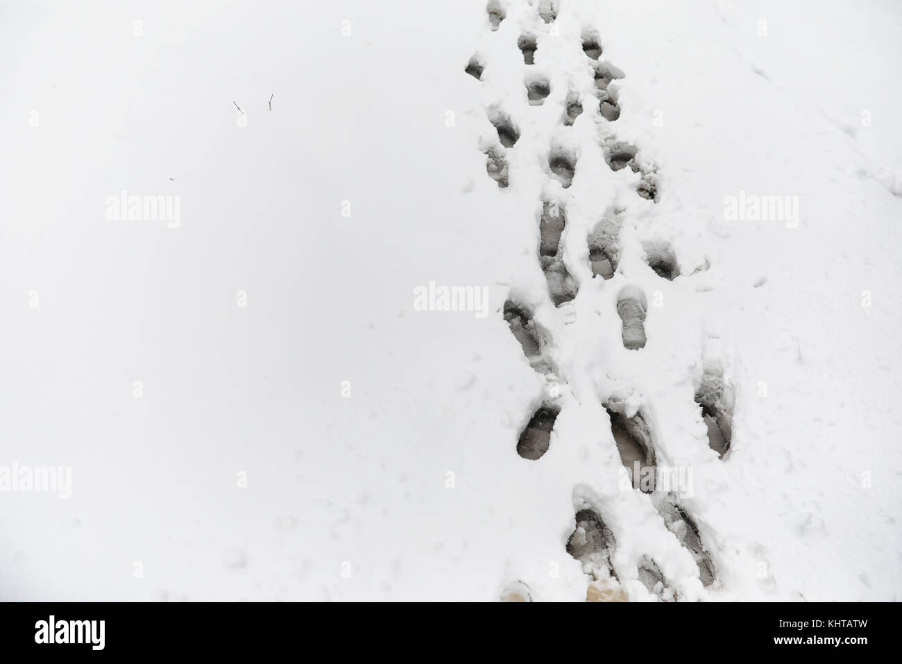 Footprints in the snow. Footprints on the first snow. Imprint of Stock ...