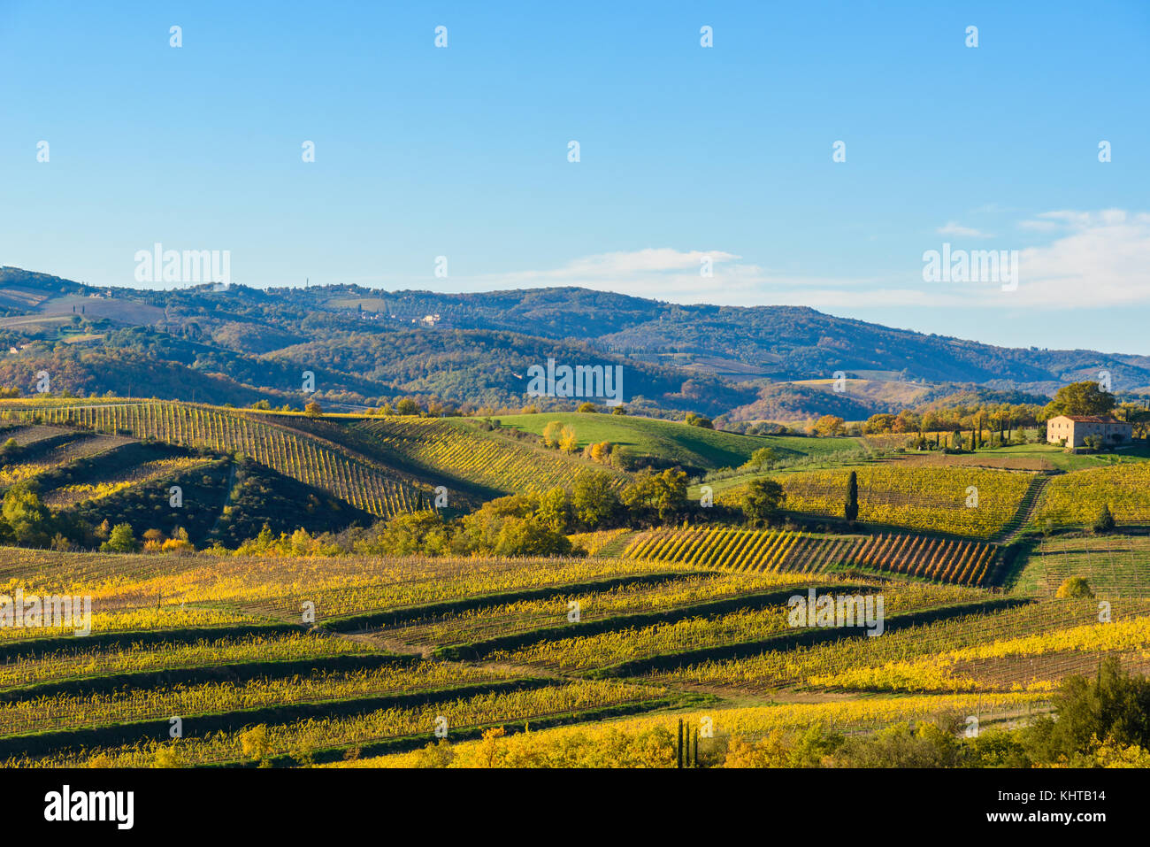 Wine tourism chianti hi-res stock photography and images - Alamy