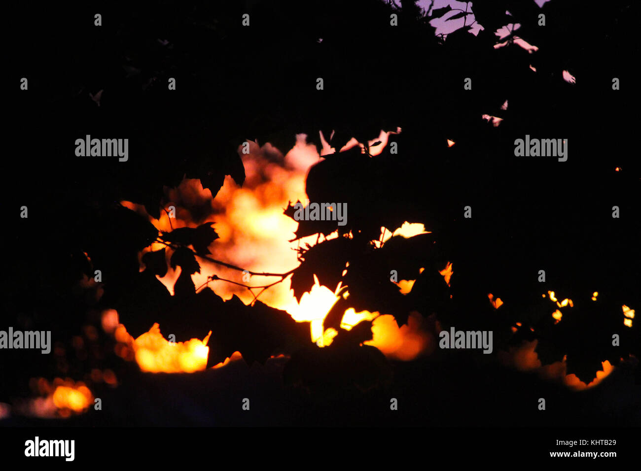 Fall photoshoot hi-res stock photography and images - Alamy