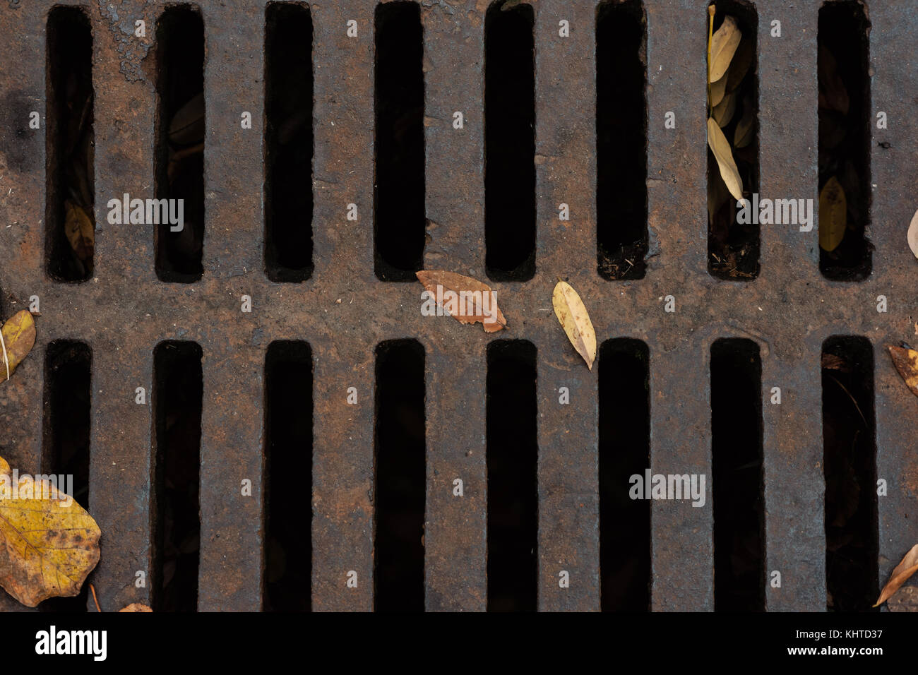 Autumn Leaves On Drainage Sewer Hatch With Grating Stock Photo - Alamy