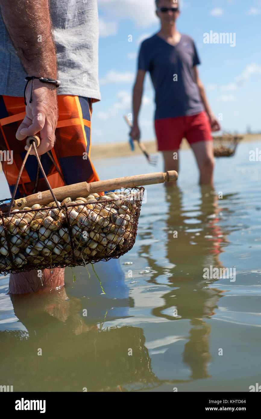 Cockle picking at low tide in Le Croisic on the Guerande Peninsula in ...