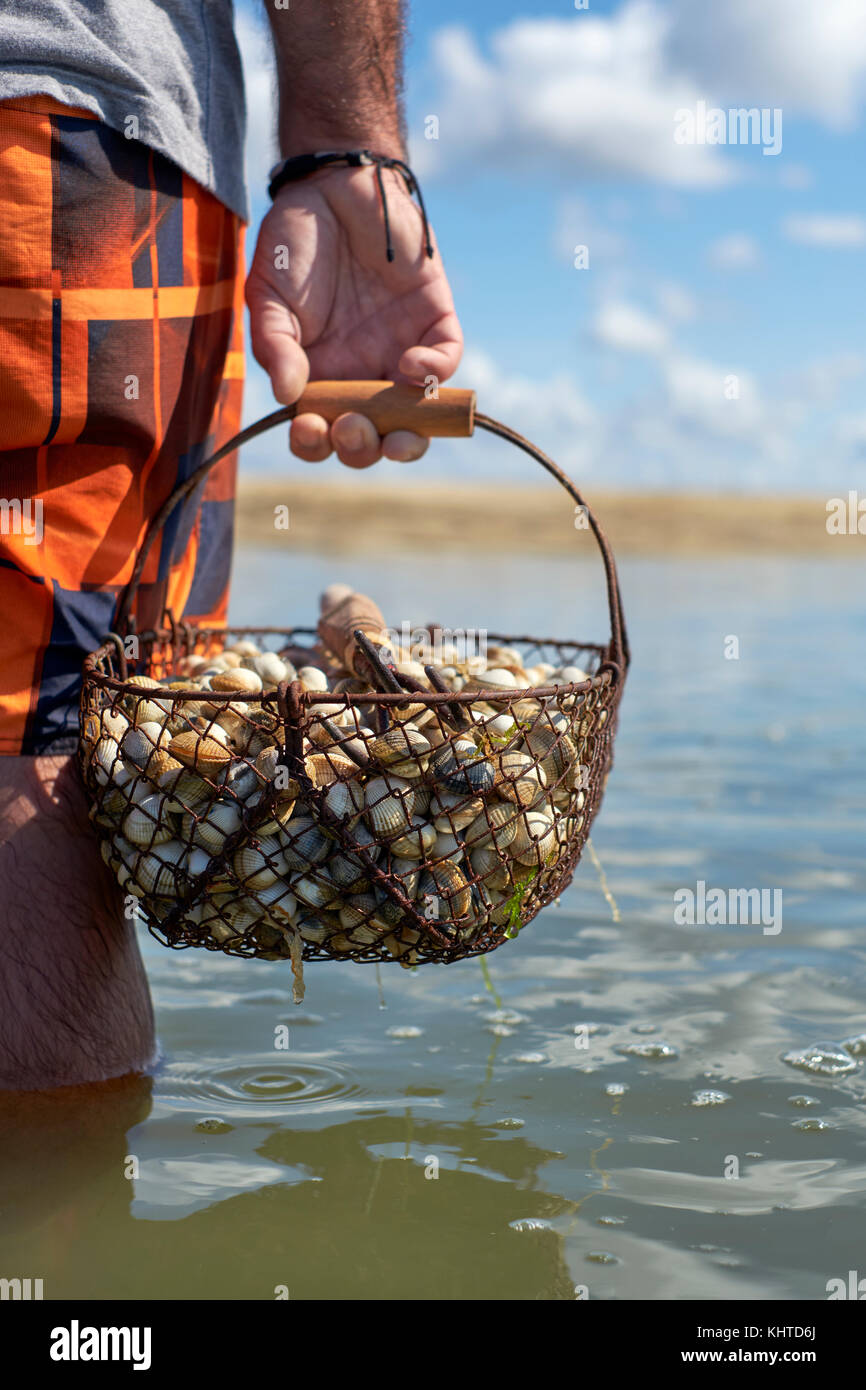 Cockle picking hi-res stock photography and images - Alamy