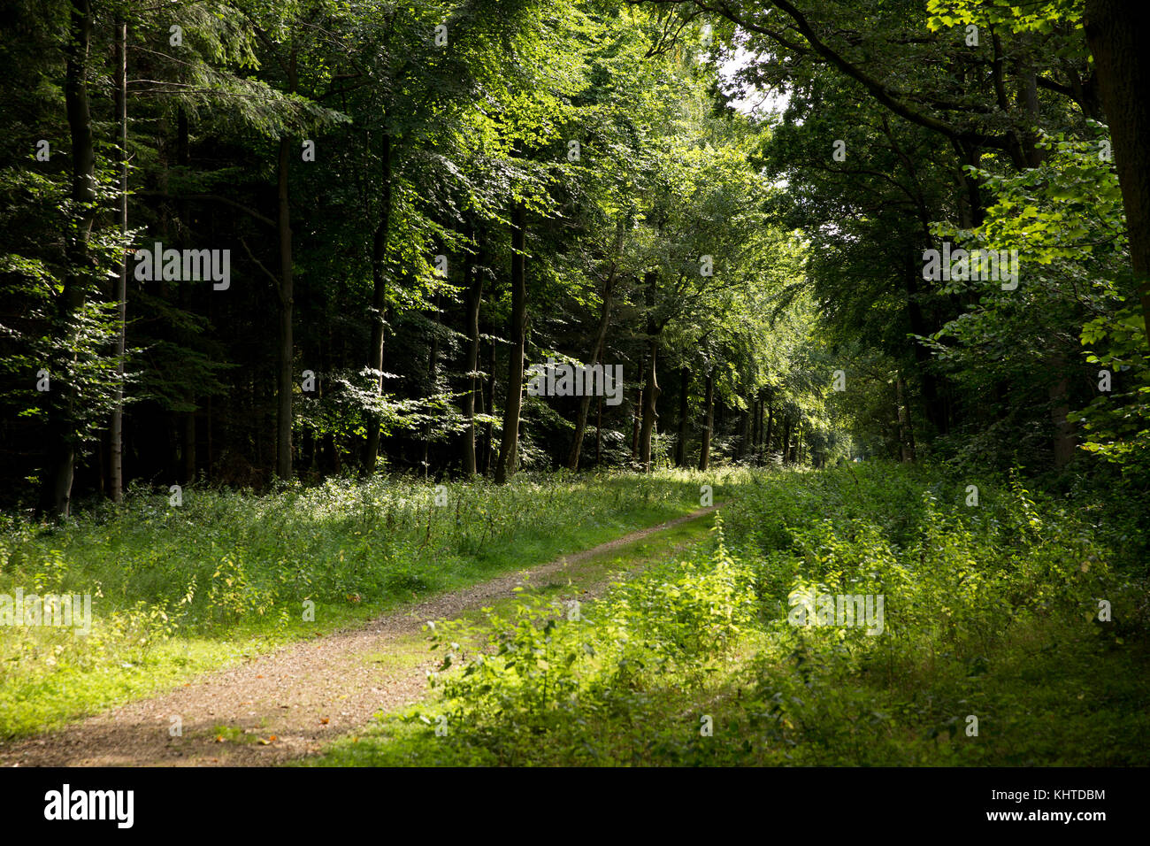 Santon downham norfolk hi-res stock photography and images - Alamy