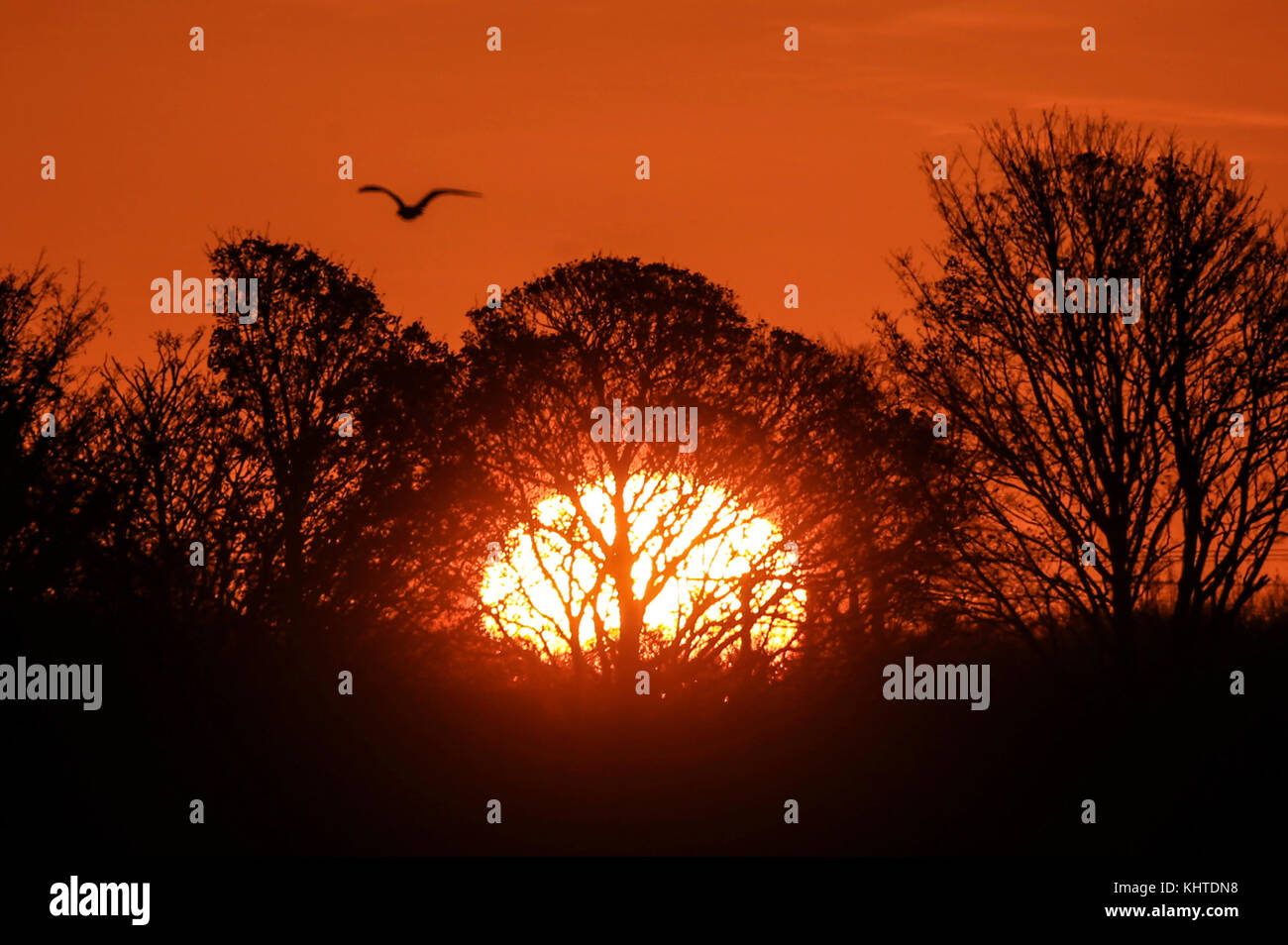 Swillington hi-res stock photography and images - Alamy