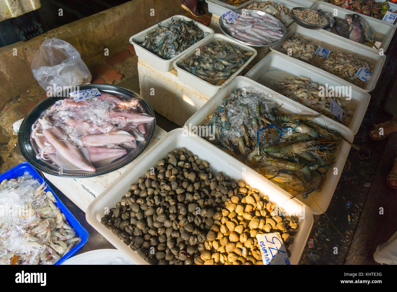 Fresh crawfishes and shrimps Stock Photo - Alamy