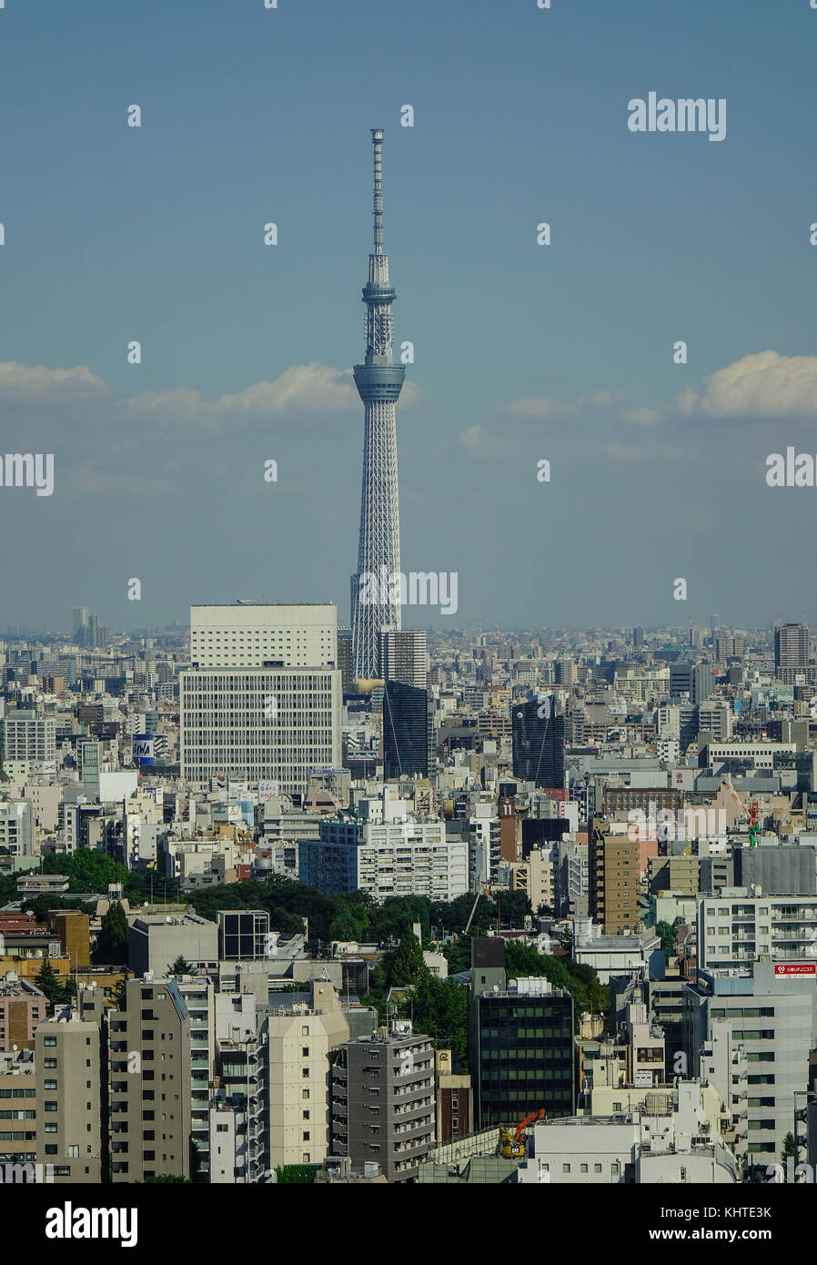 Tokyotree hi-res stock photography and images - Alamy