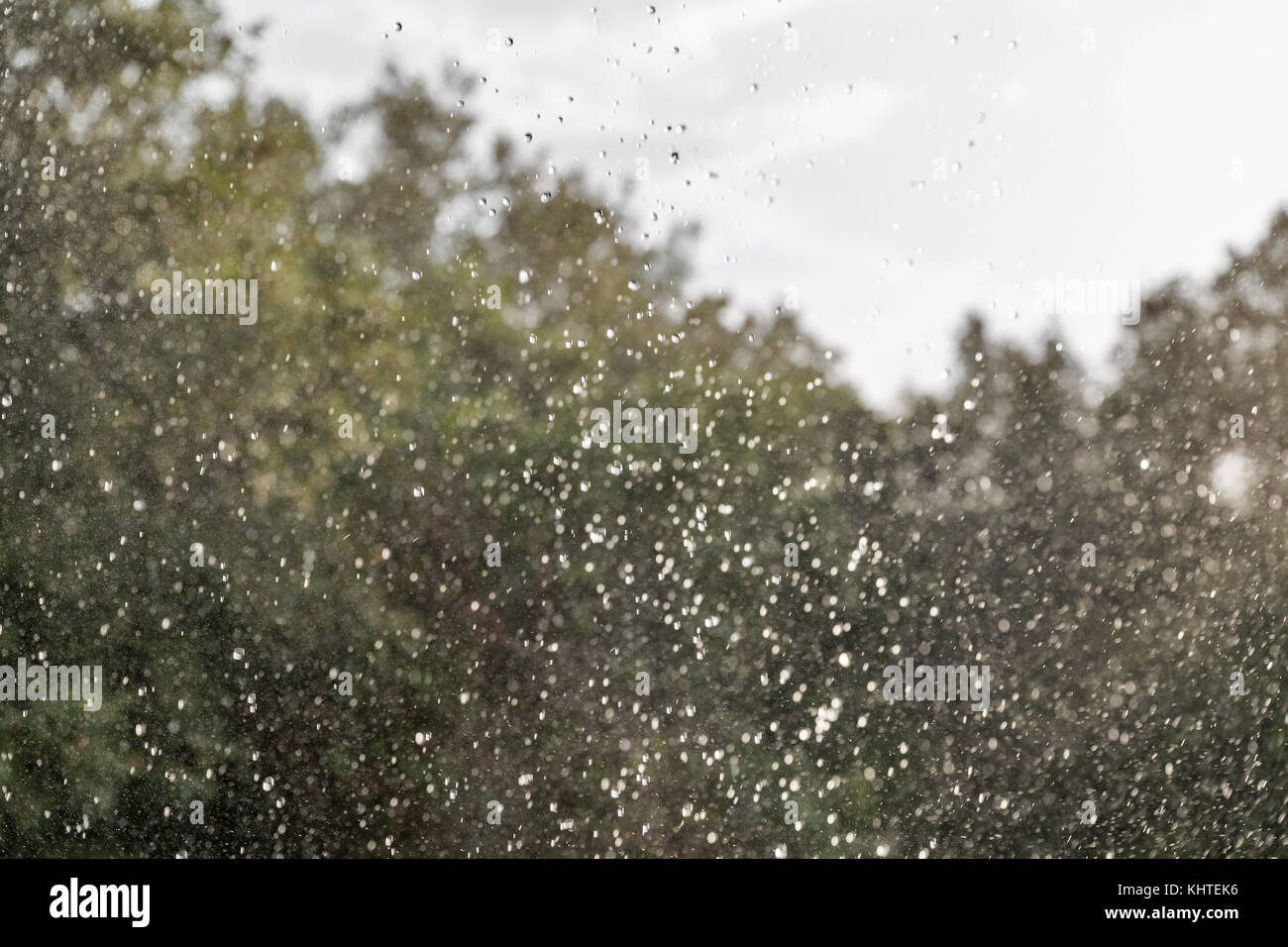 Rainy weather concept. Heavy rain drops against green trees background ...