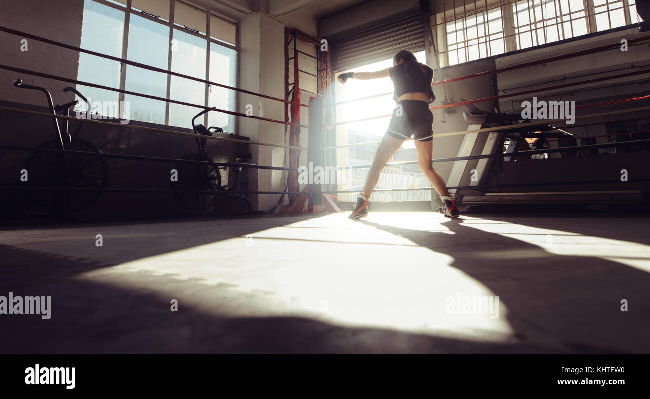 Rear view of female boxer doing shadow boxing inside a boxing ring ...