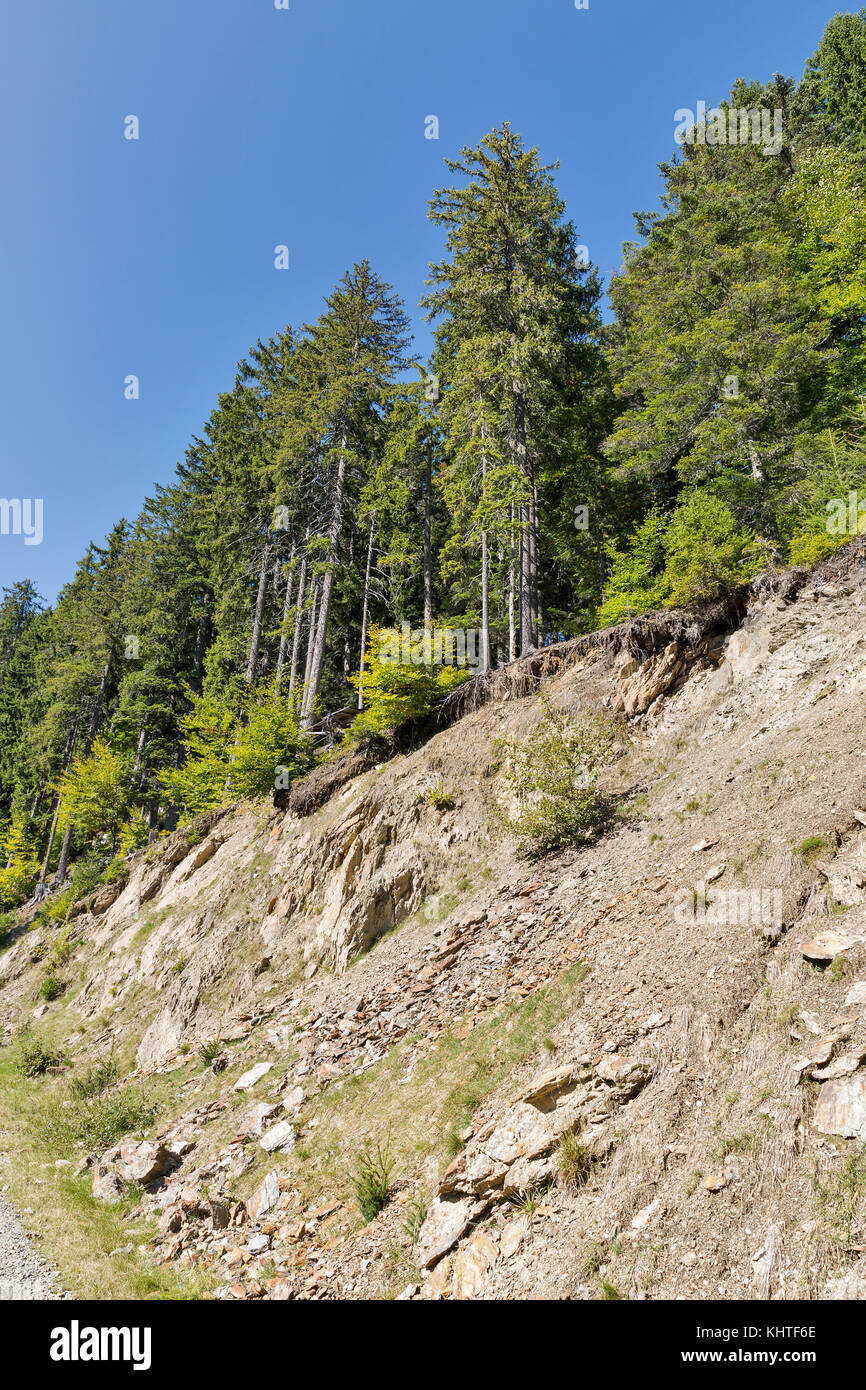 Alpine mountain woods landscape in Western Carinthia, Austria Stock ...