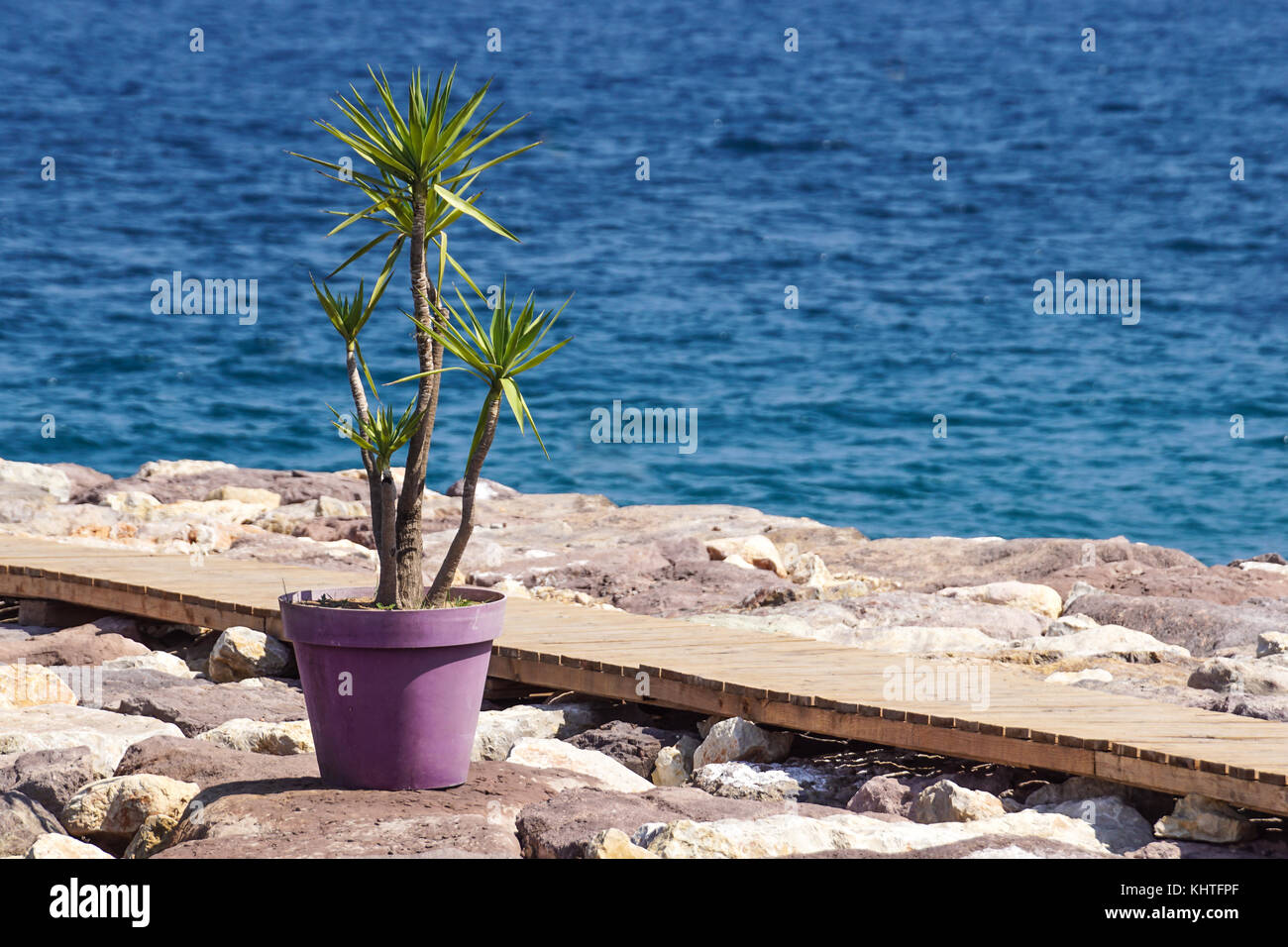 walkway on rocky dock near the sea with a plant in a jar for decoration ...