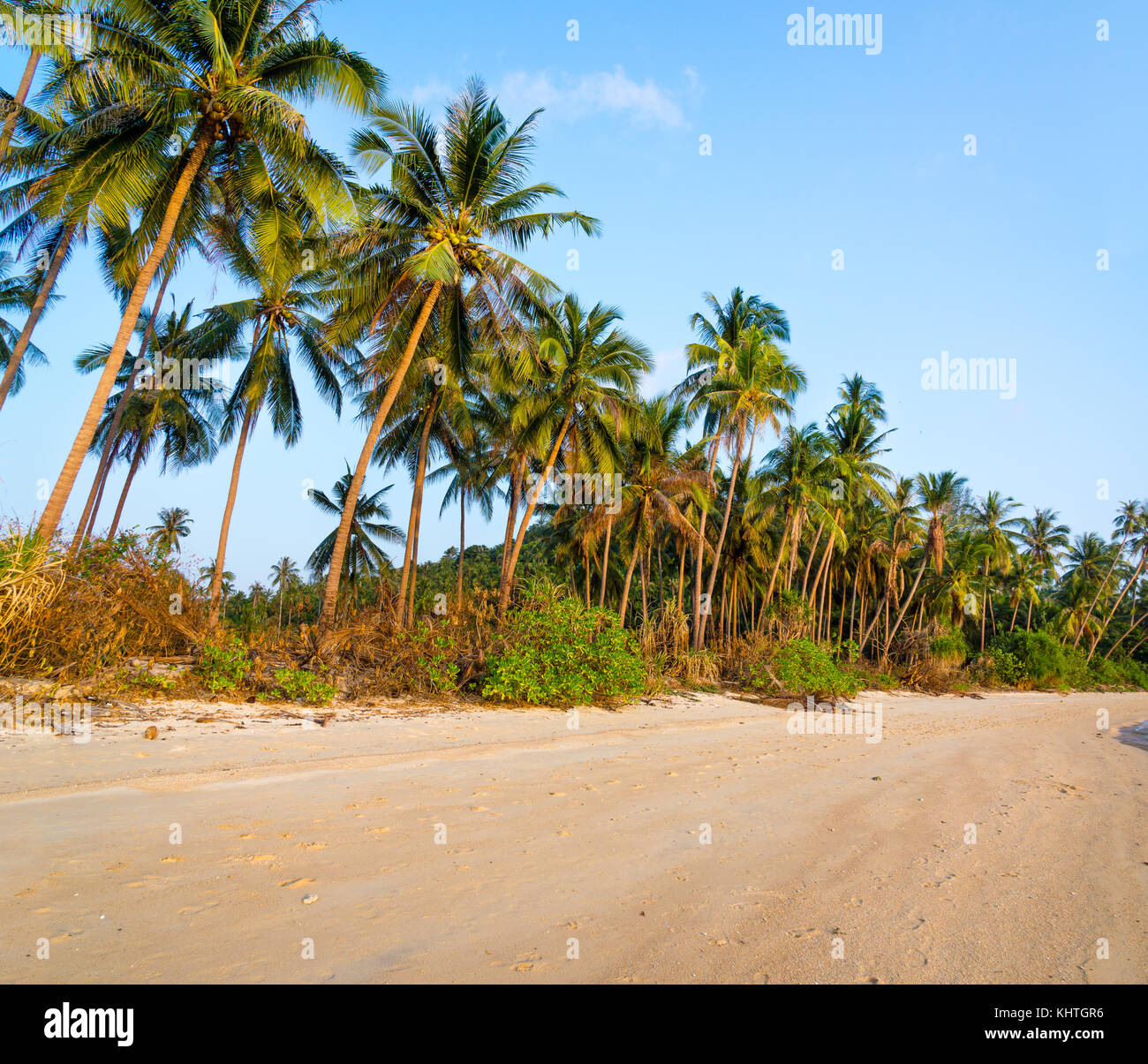 Untouched tropical beach Stock Photo - Alamy